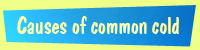 What causes common colds and how does it spread?