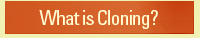 What is cloning?